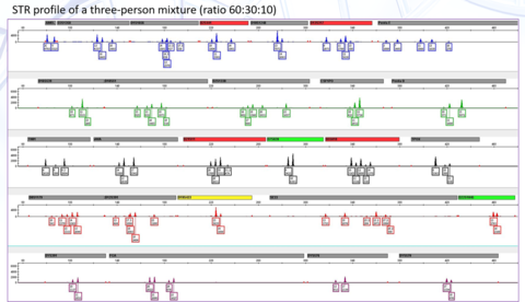 DNA Mixture Interpretation | NIST